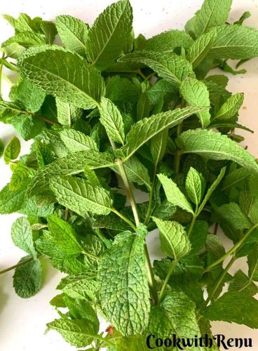 Mint Yogurt Chutney | Pudine aur Dahi ki Chutney - Cook With Renu